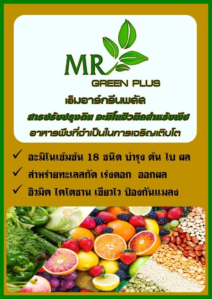 MR 99 SYSTEM | iSHIP STORE