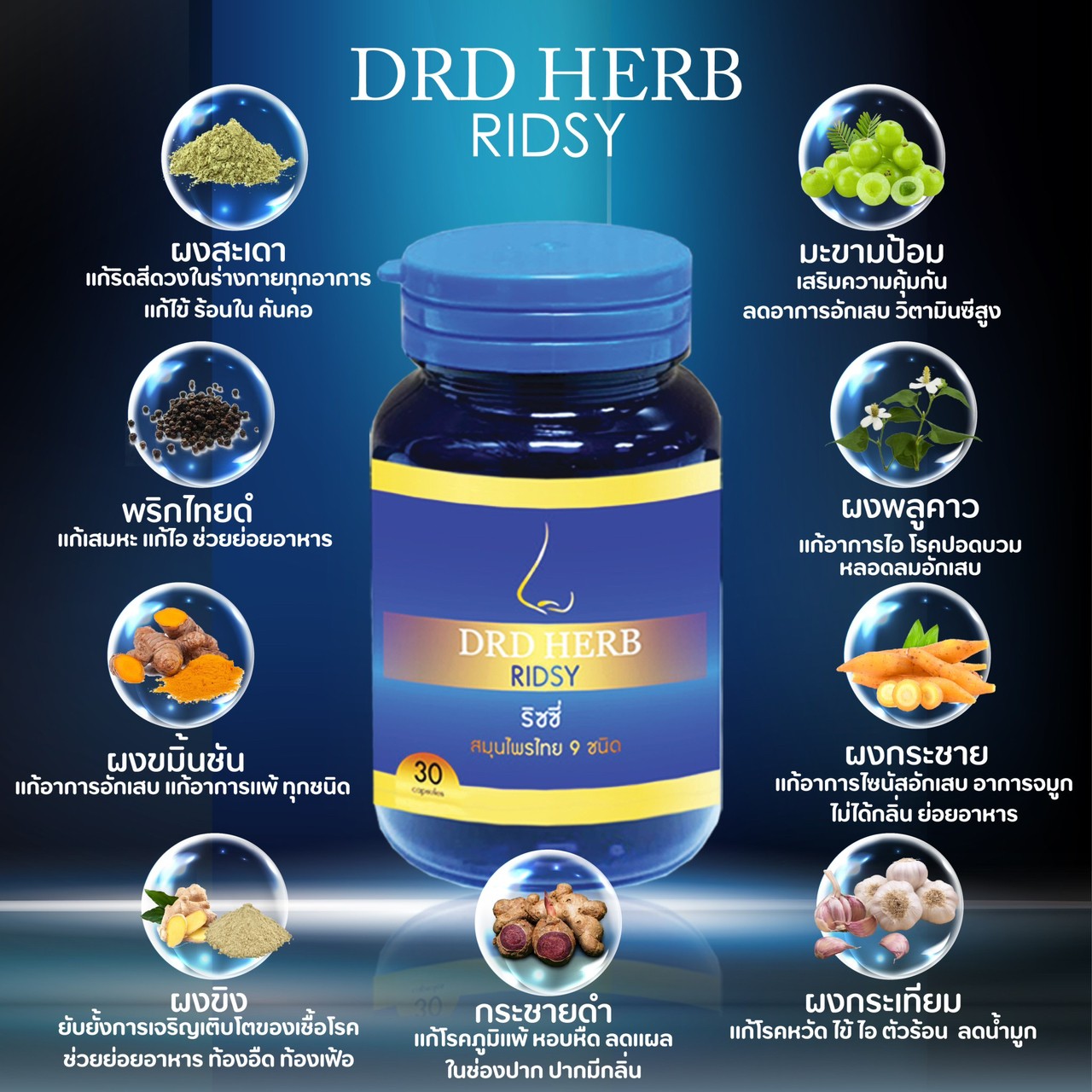 DRD Herb 6559 | iSHIP STORE