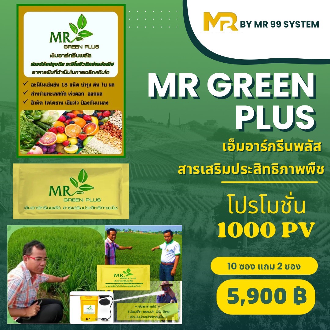 MR 99 SYSTEM | iSHIP STORE